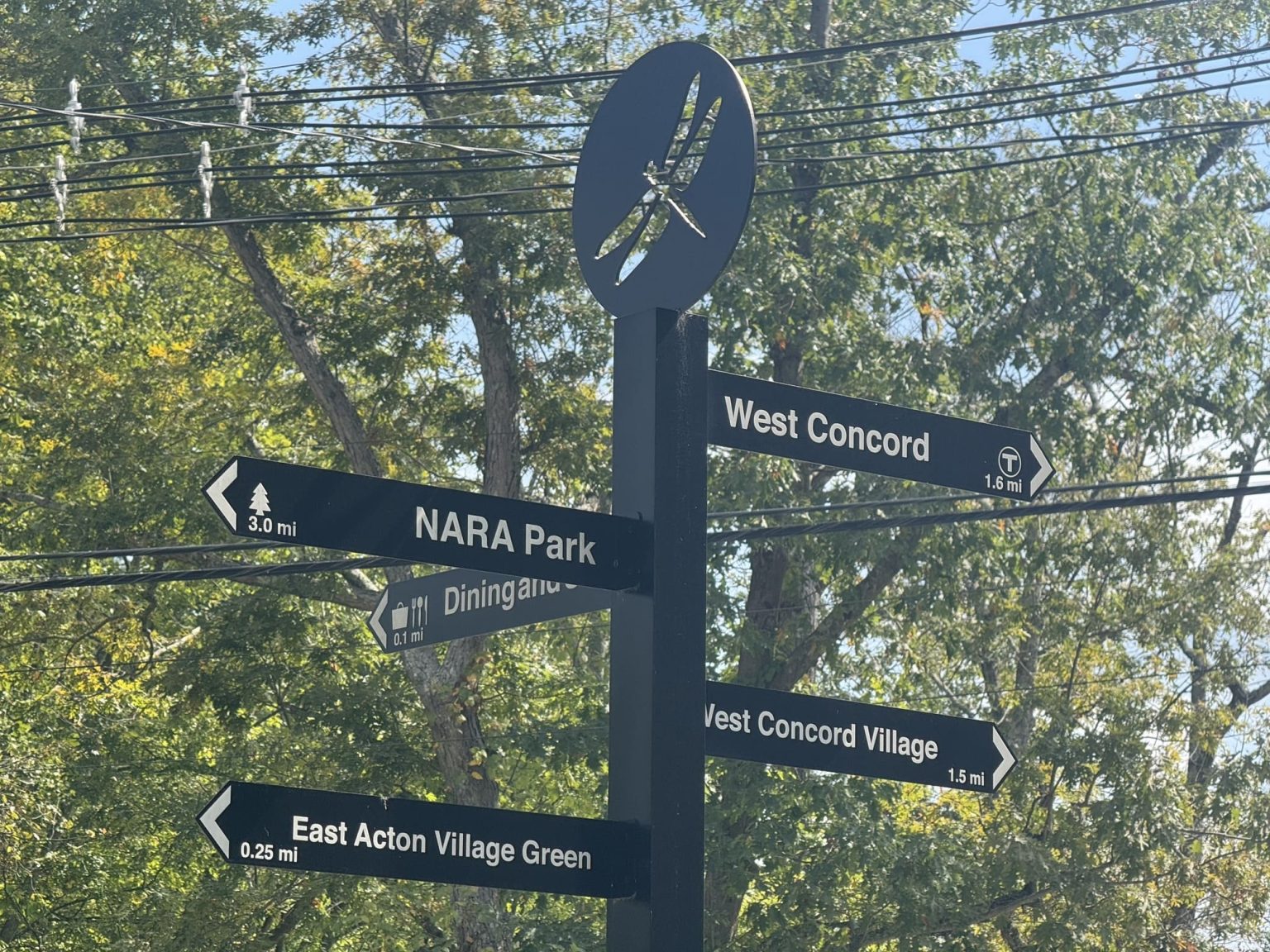 Check out the Bruce Freeman Rail Trail! - Jennifer Shenk